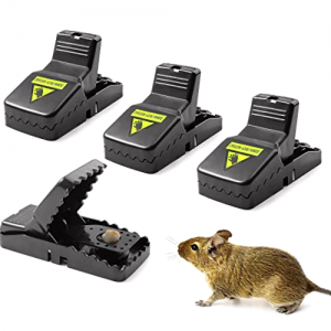 Cómo elegir el mejor cebo para una ratonera