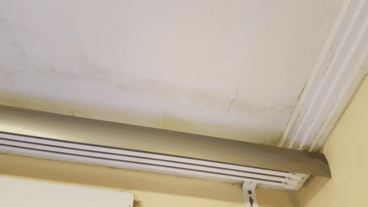 Cómo limpiar las manchas de moho y hongos en el techo